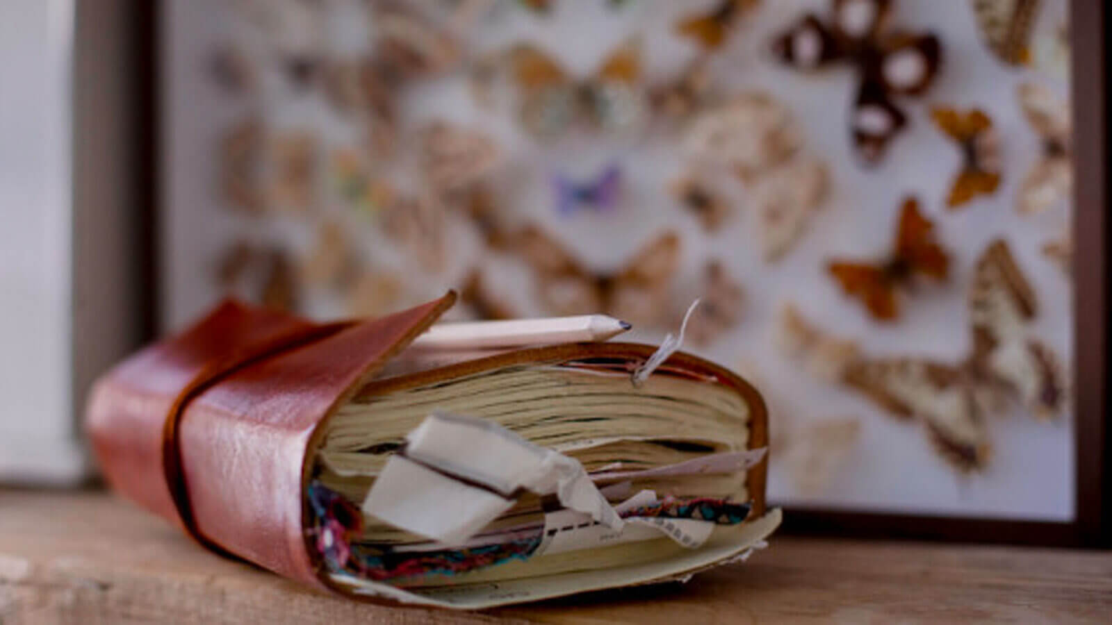 Container guidelines - HCS Company